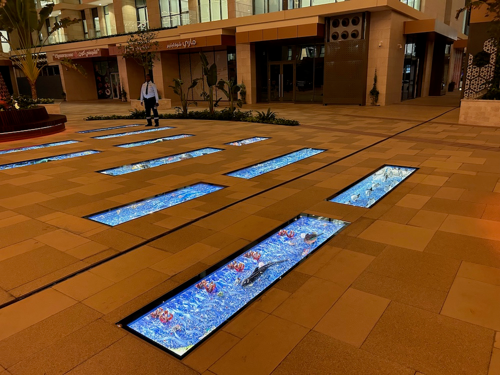 IMG_1319-Condensed.webp | Structural Glass Design | Walk on glass ...