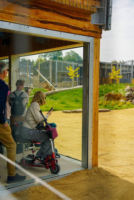 Noahs-ark-zoo-glazing-enclosure.webp | Structural Glass Design | Walk ...